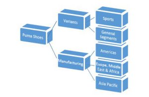 What are the Different Variants of Puma Shoes, and Where are Puma Shoes ...